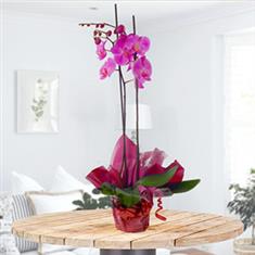 The Selsey Florist - Order Flowers Online or 01243 601888