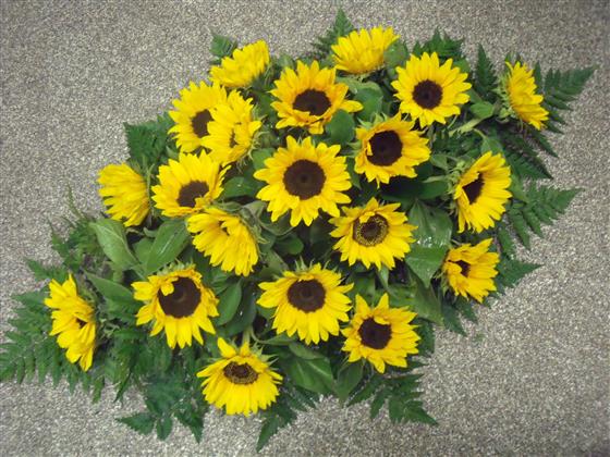 Sunflower Spray The Selsey Florist Chichester & Bognor Regis